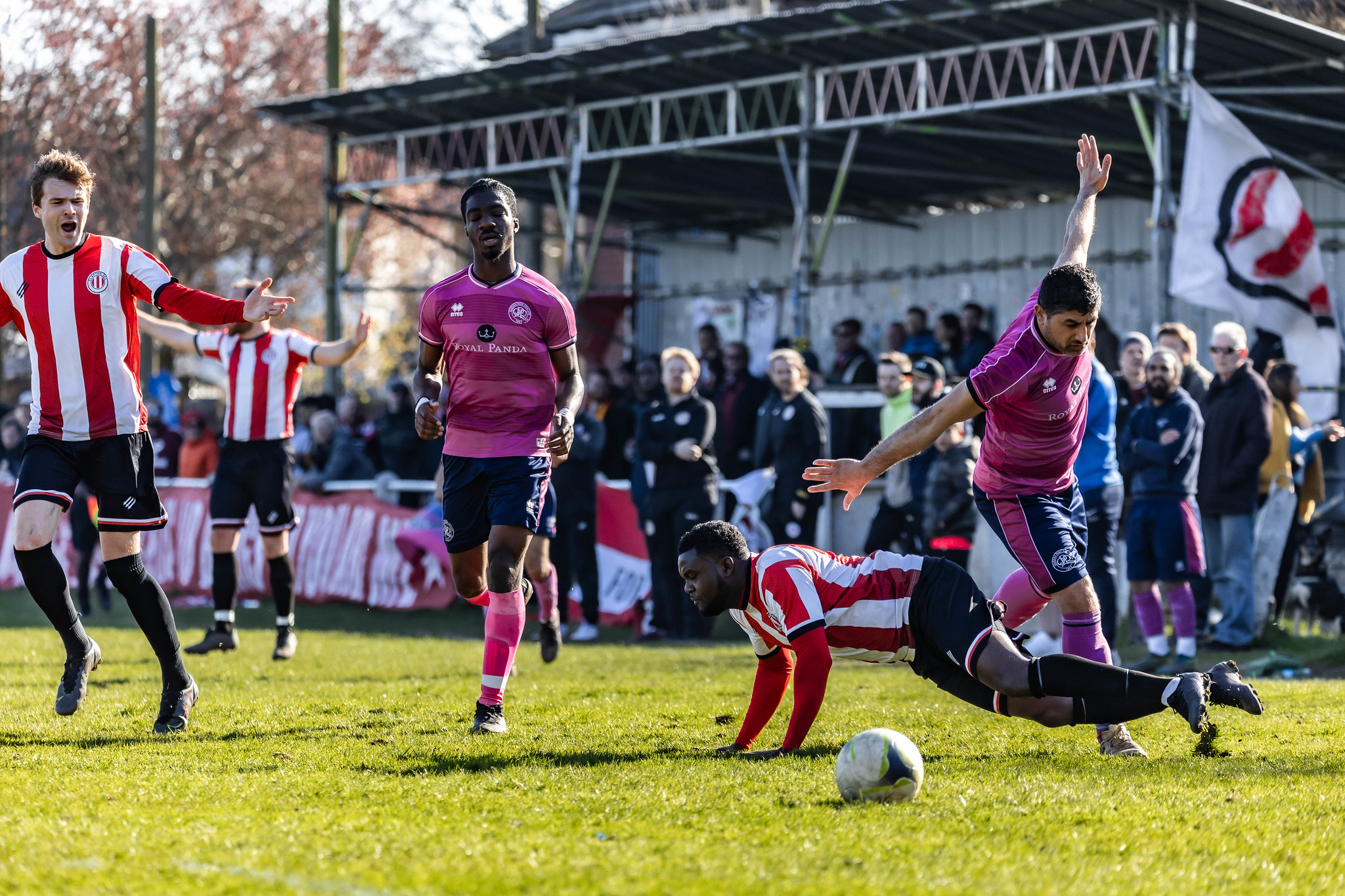 Home - Clapton Community FC