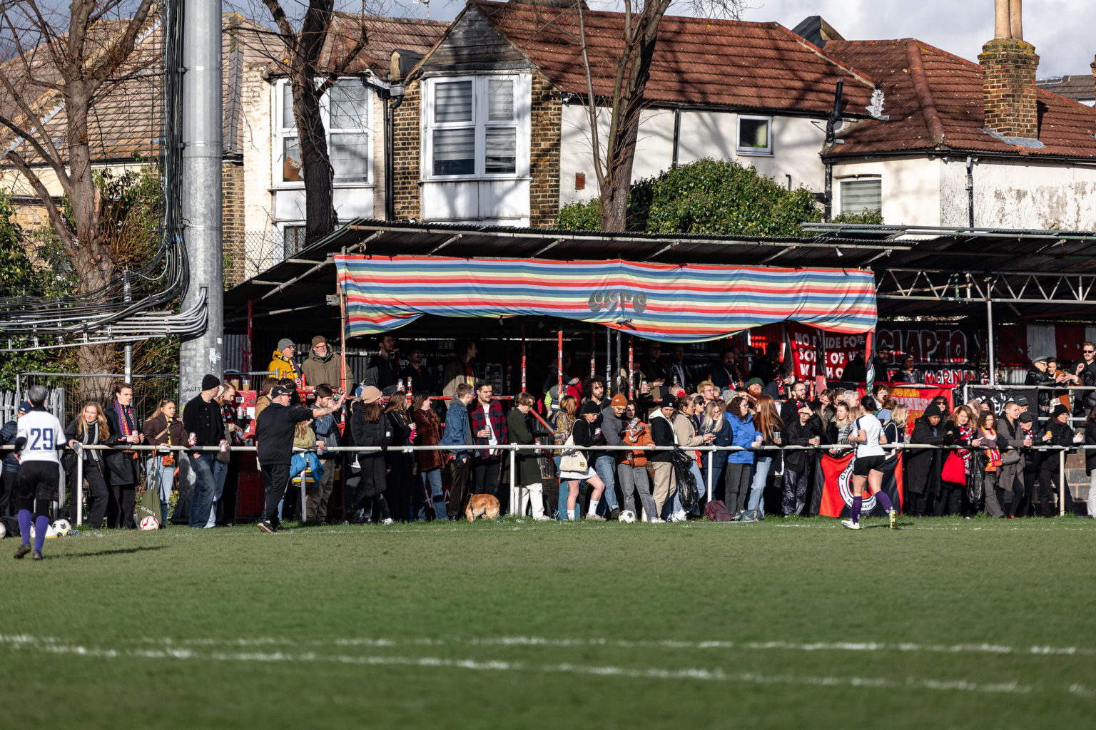 CCFC Women/NB Development make their Old Spotted Dog debut at Fans ...